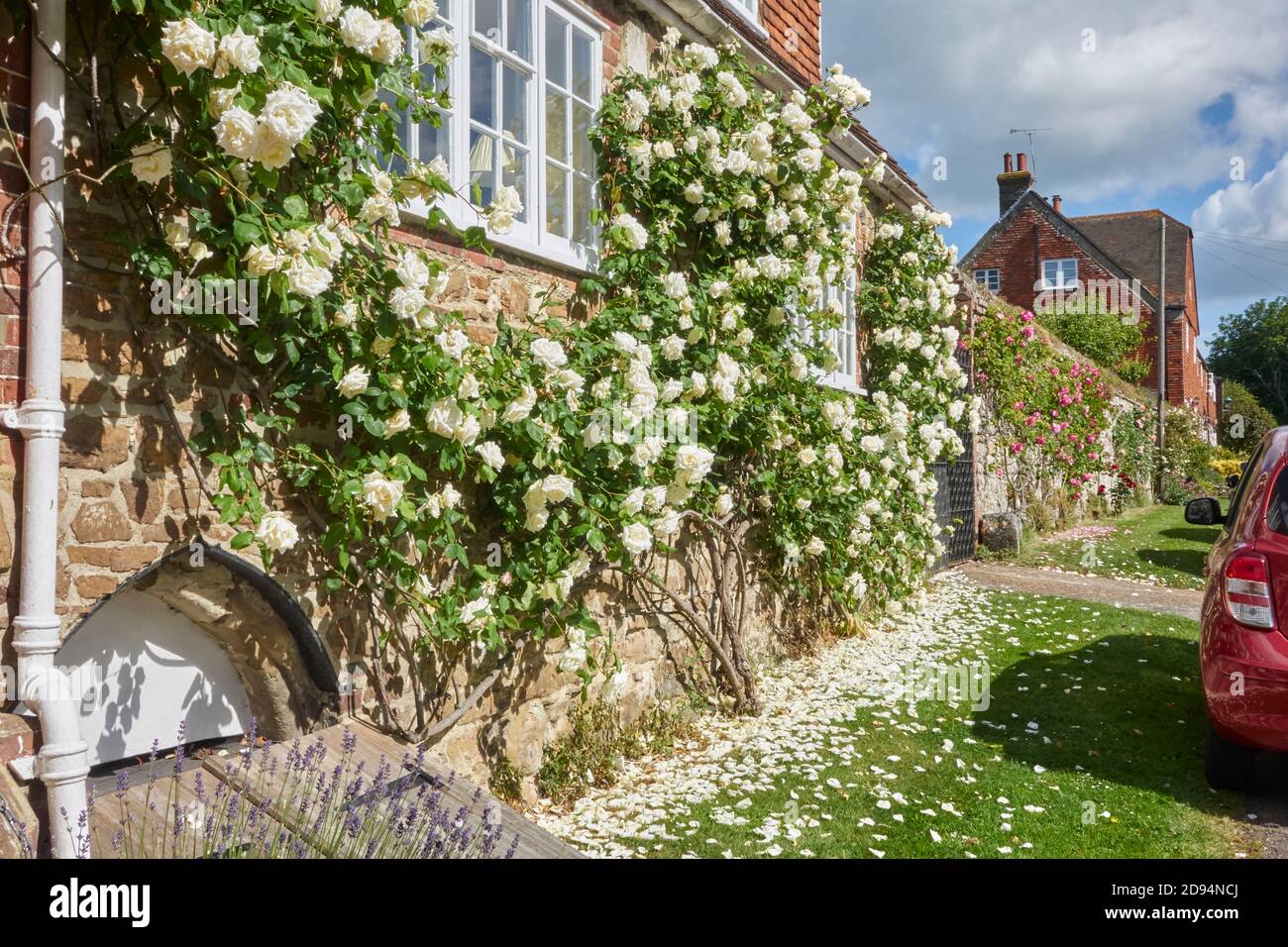 Climbing Rose House High Resolution Stock Photography and Images - Alamy