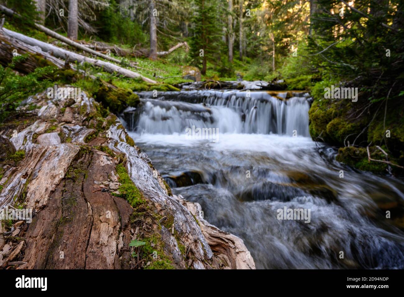 Stream tumbles over rocks hi-res stock photography and images - Alamy
