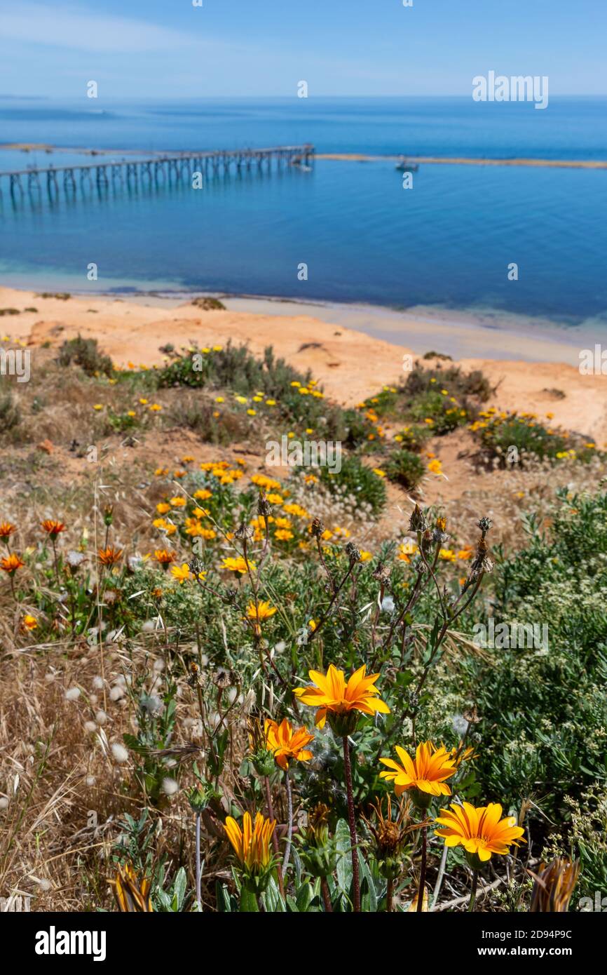 The esplande pier hi-res stock photography and images - Alamy