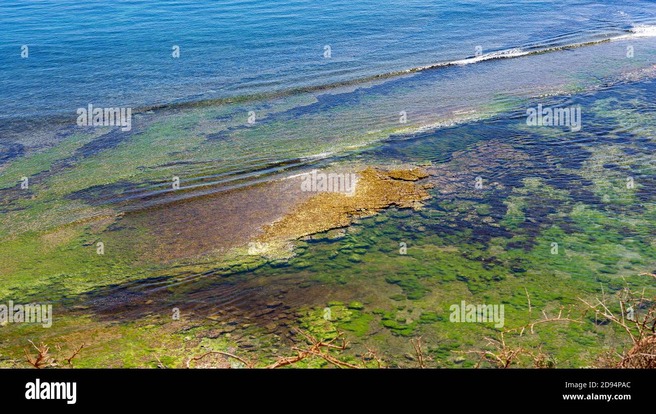 Moss Rocks Trees High Resolution Stock Photography and Images - Alamy