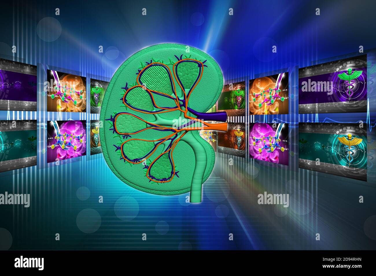 Human kidney in abstract background Stock Photo - Alamy