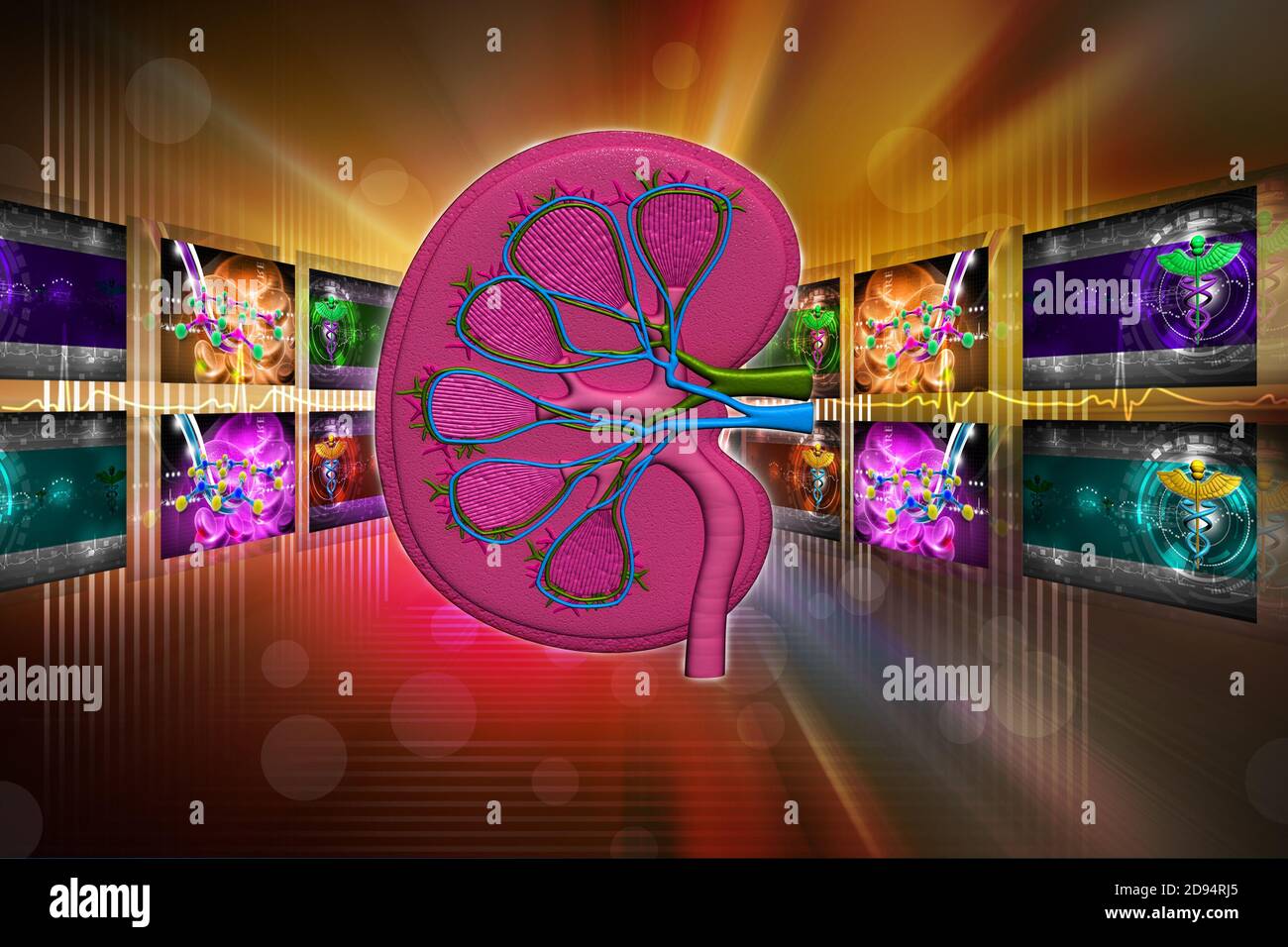 Human kidney in abstract background Stock Photo - Alamy