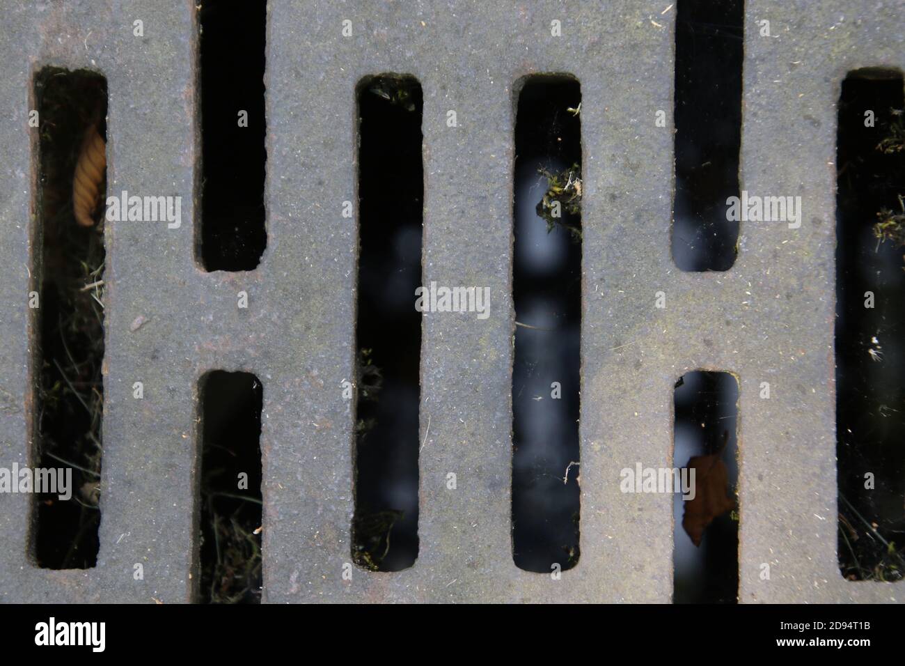 A closeup of a metal ground grate with water directly behind it Stock ...