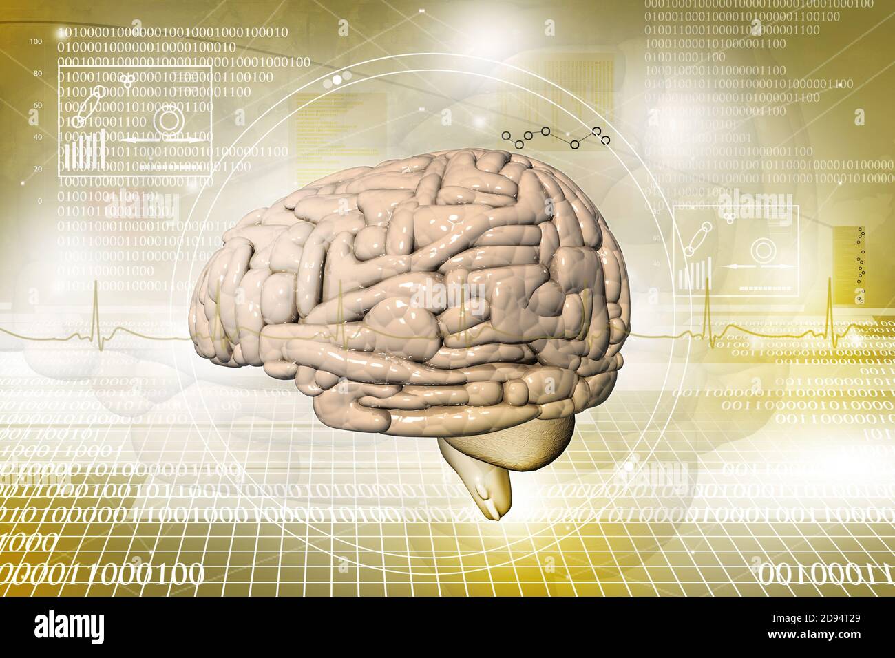 Brain in digital background Stock Photo - Alamy