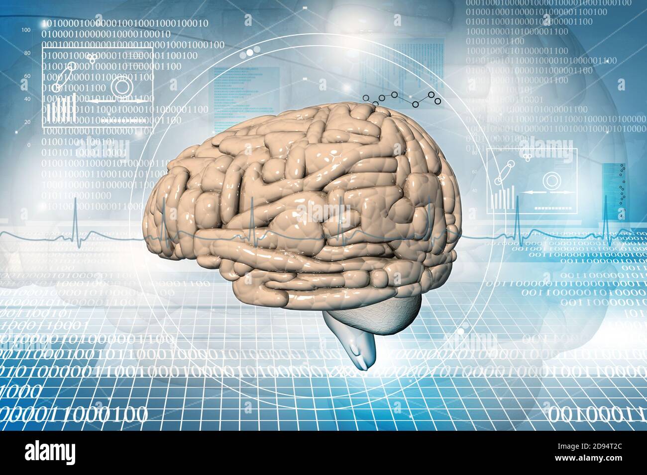 Brain in digital background Stock Photo - Alamy
