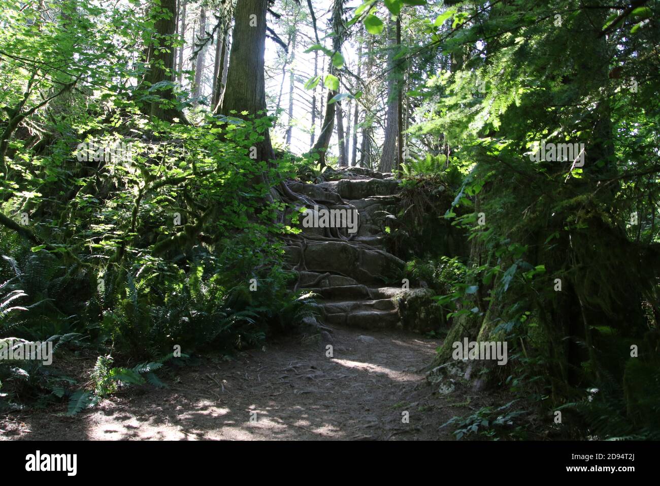 Natural stone stairs hi-res stock photography and images - Alamy