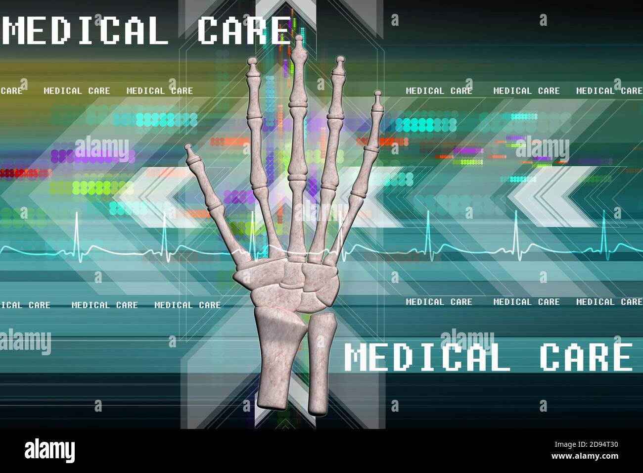 X ray wrist medical skeleton biology science anatomical hi-res stock ...