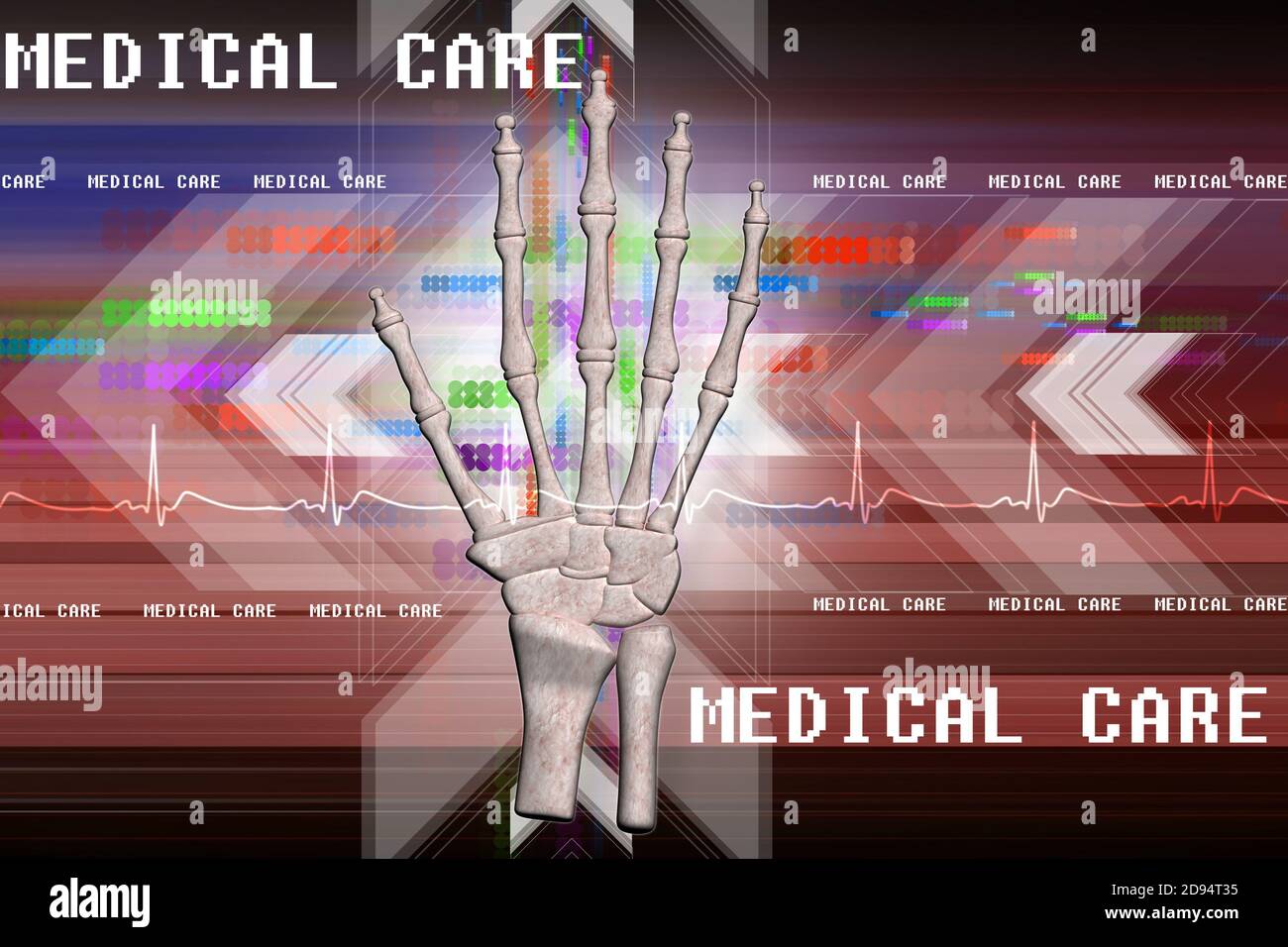 X ray wrist medical skeleton biology science anatomical hi-res stock ...