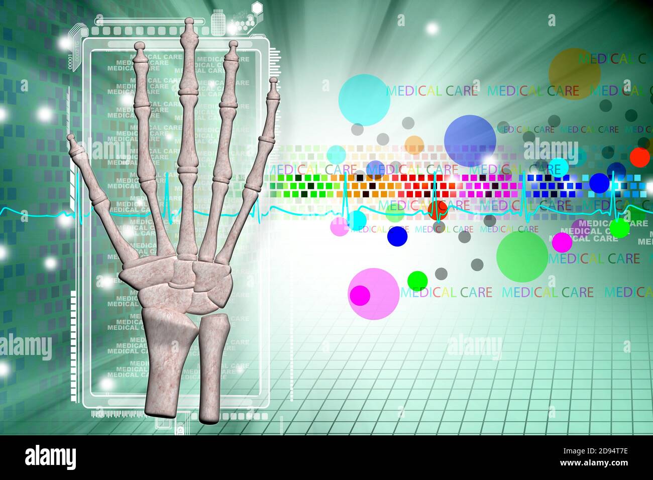 X ray wrist medical skeleton biology science anatomical hi-res stock ...