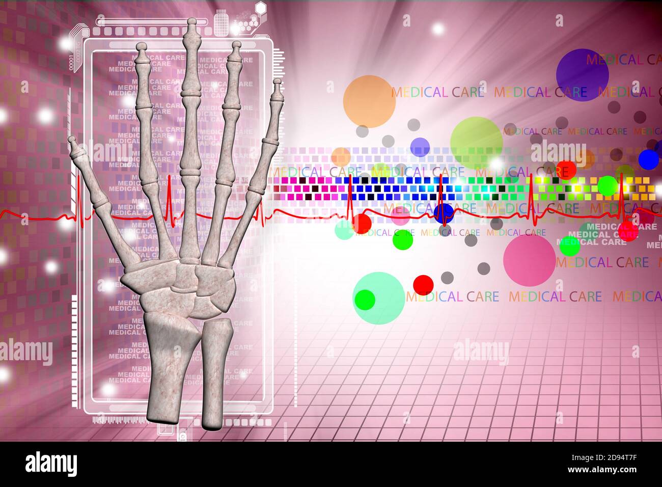 X ray wrist medical skeleton biology science anatomical hi-res stock ...