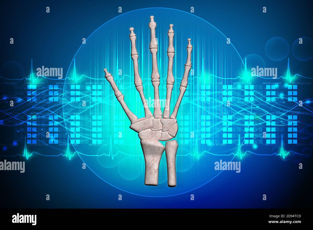 X ray wrist medical skeleton biology science anatomical hi-res stock ...