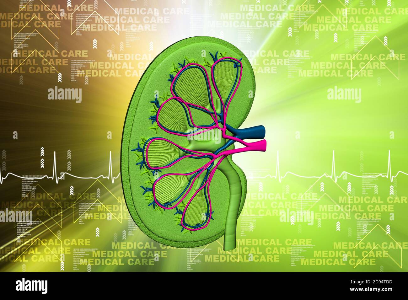 Kidney basin High Resolution Stock Photography and Images - Alamy