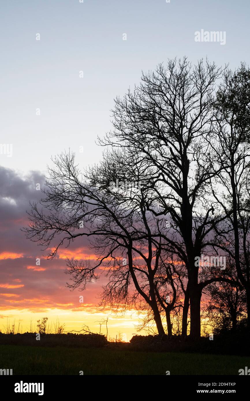 Band of rain clouds at sunset over the cotswold countryside with trees ...