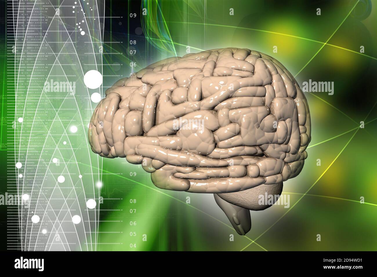 Brain in digital background Stock Photo - Alamy
