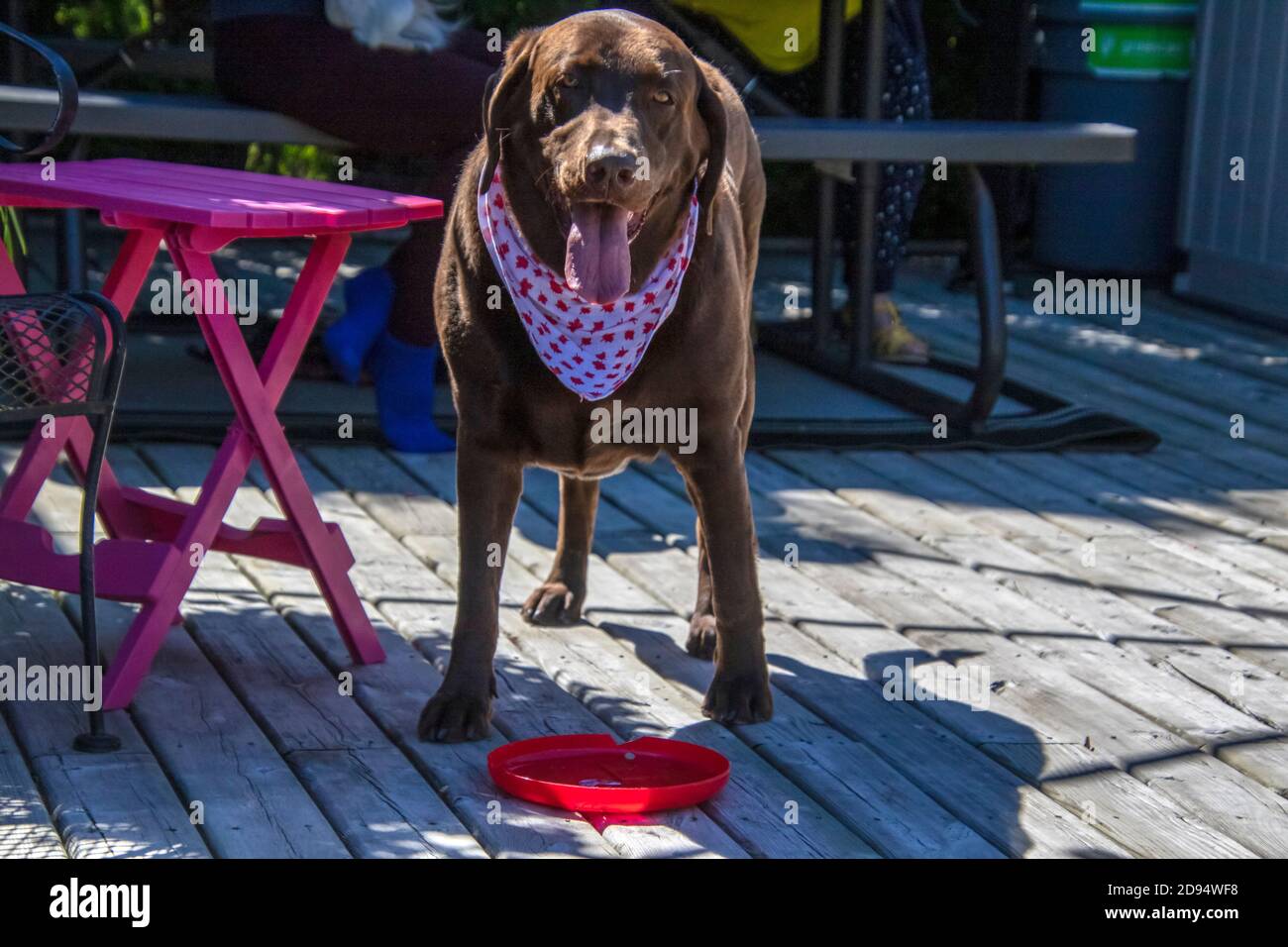 Lab benches hi-res stock photography and images - Alamy