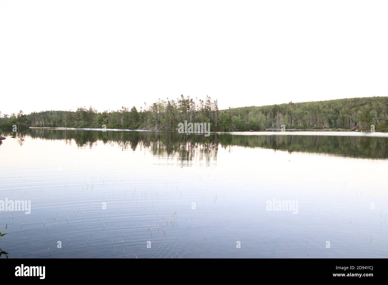 A view of a lake with a forest on the far side and a small island in ...