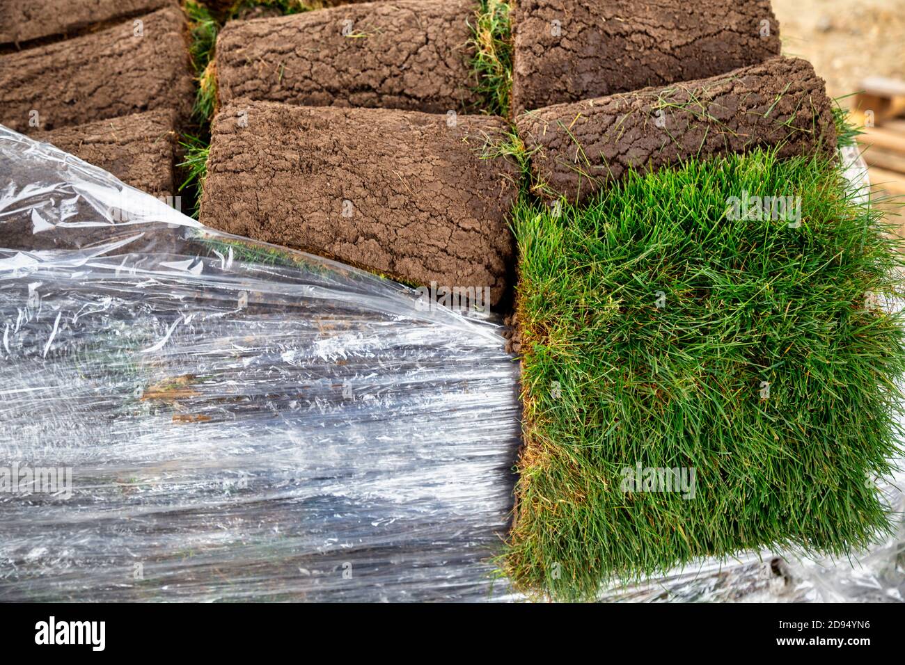 Fresh stacks of sod rolls on pallet for new lawn. Selective focus Stock ...