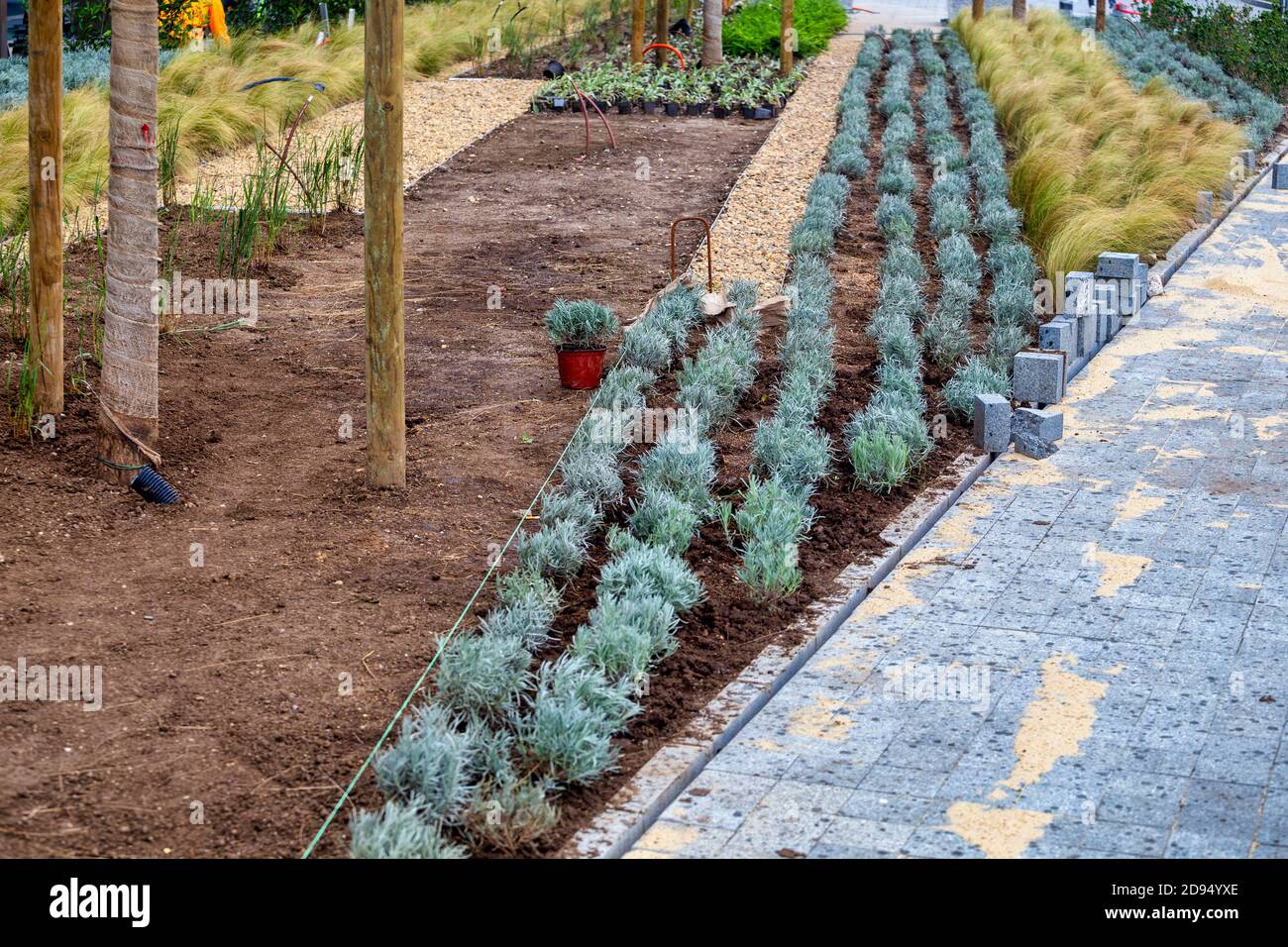 Installing flower beds with black earth and decorative stones. Concept ...