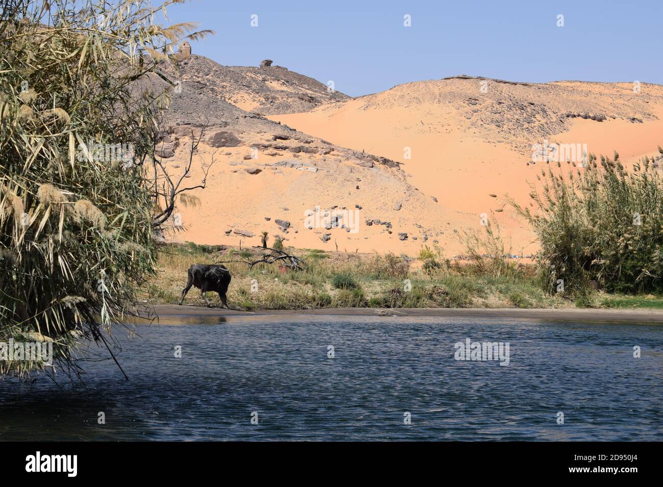 Aswan nature hi-res stock photography and images - Alamy