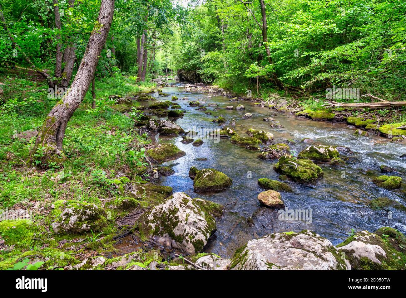 Moravica hi-res stock photography and images - Alamy