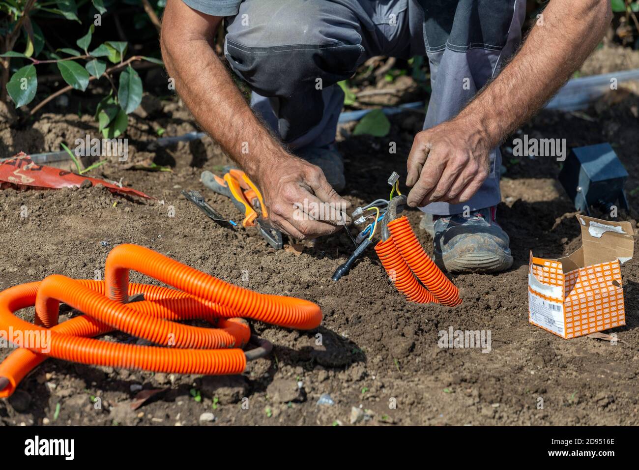 Tree lighting, worker hands installing outdoor ground spots lights ...