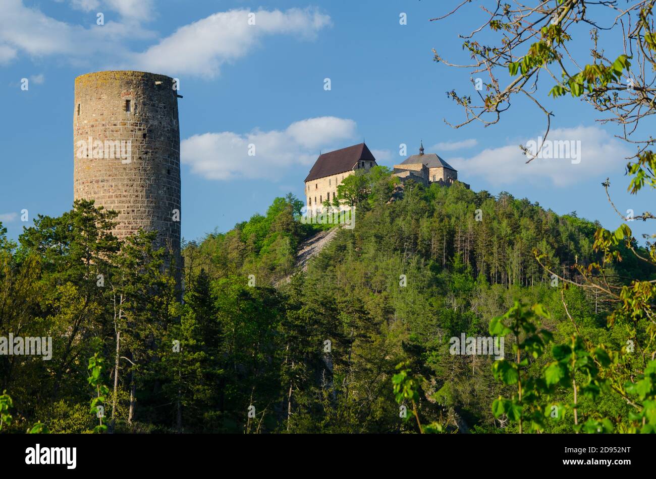 Zebrak hi-res stock photography and images - Alamy