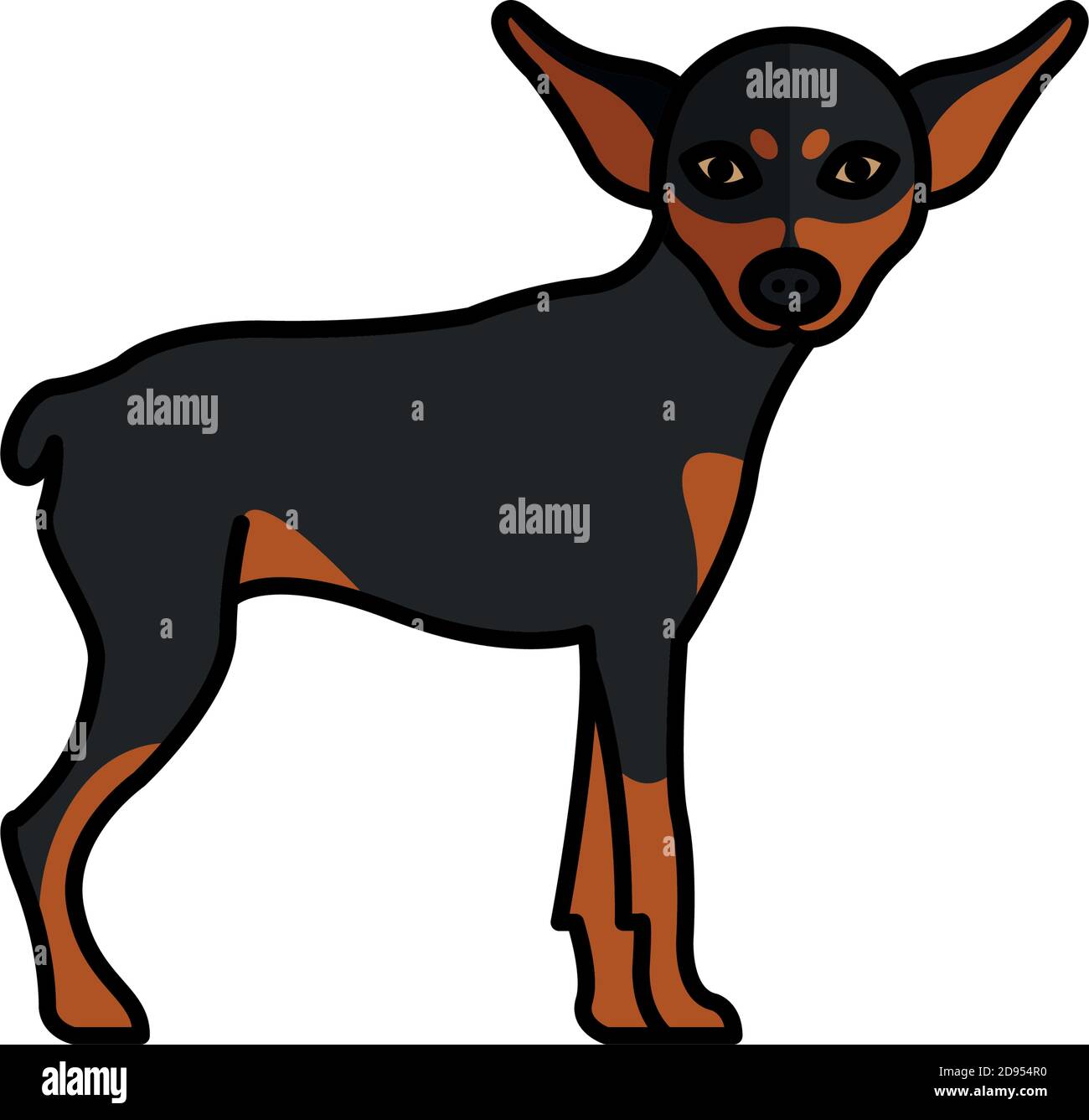 Miniature pinscher portrait Stock Vector Images - Alamy