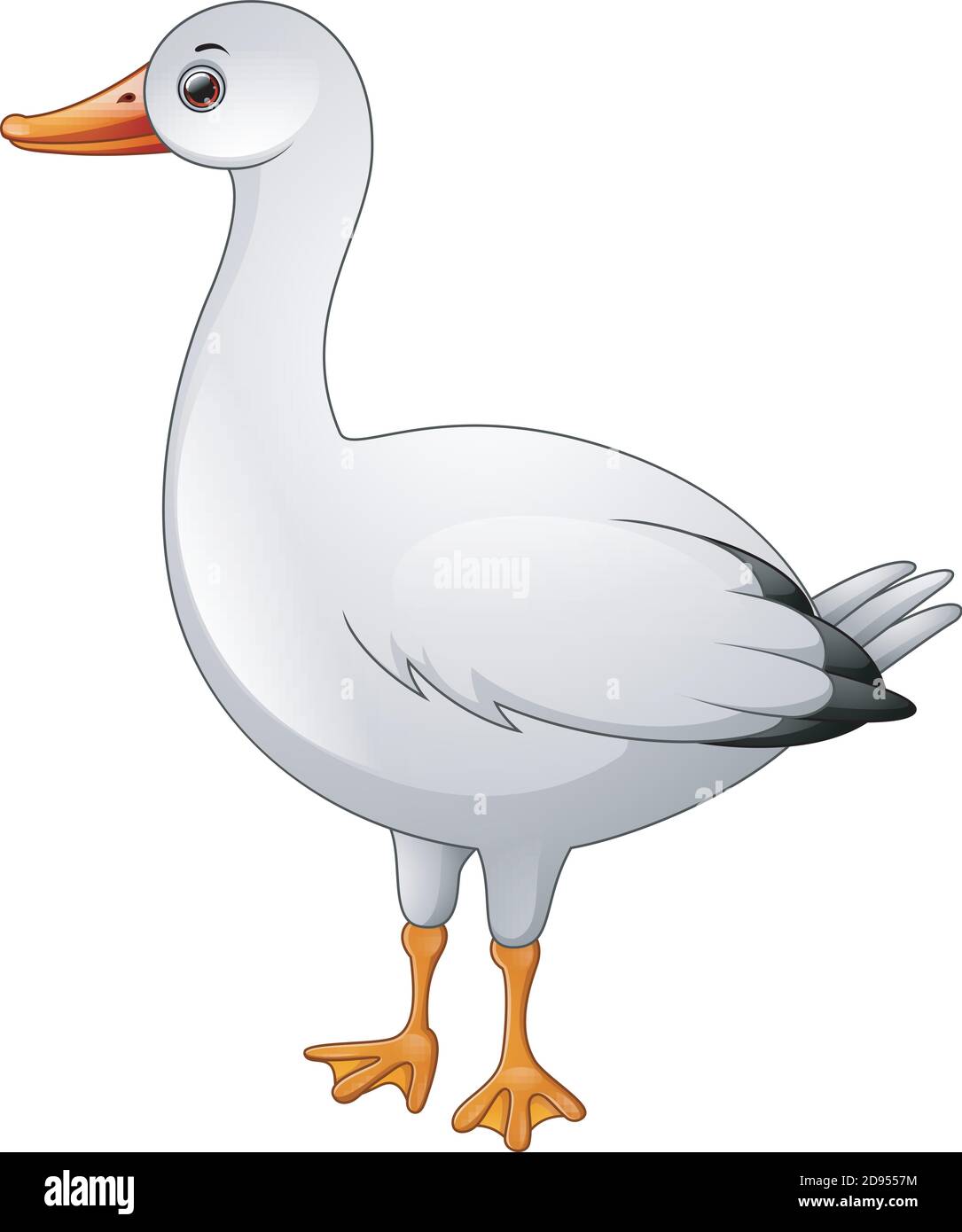 Vector Illustration Of Cute White Goose Cartoon Stock Vector Image And Art Alamy