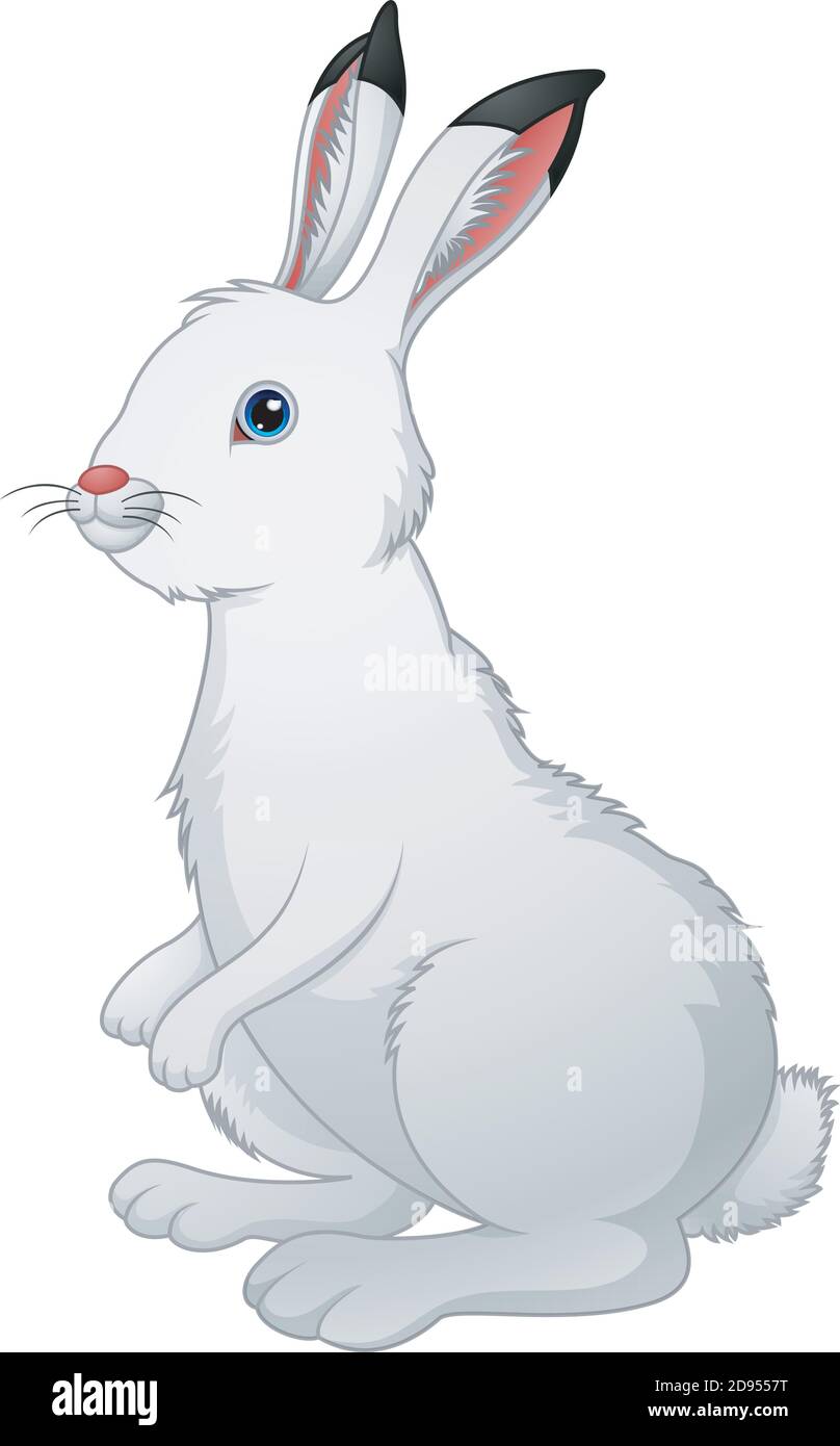 Vector illustration of Cute white rabbit on a white background Stock ...