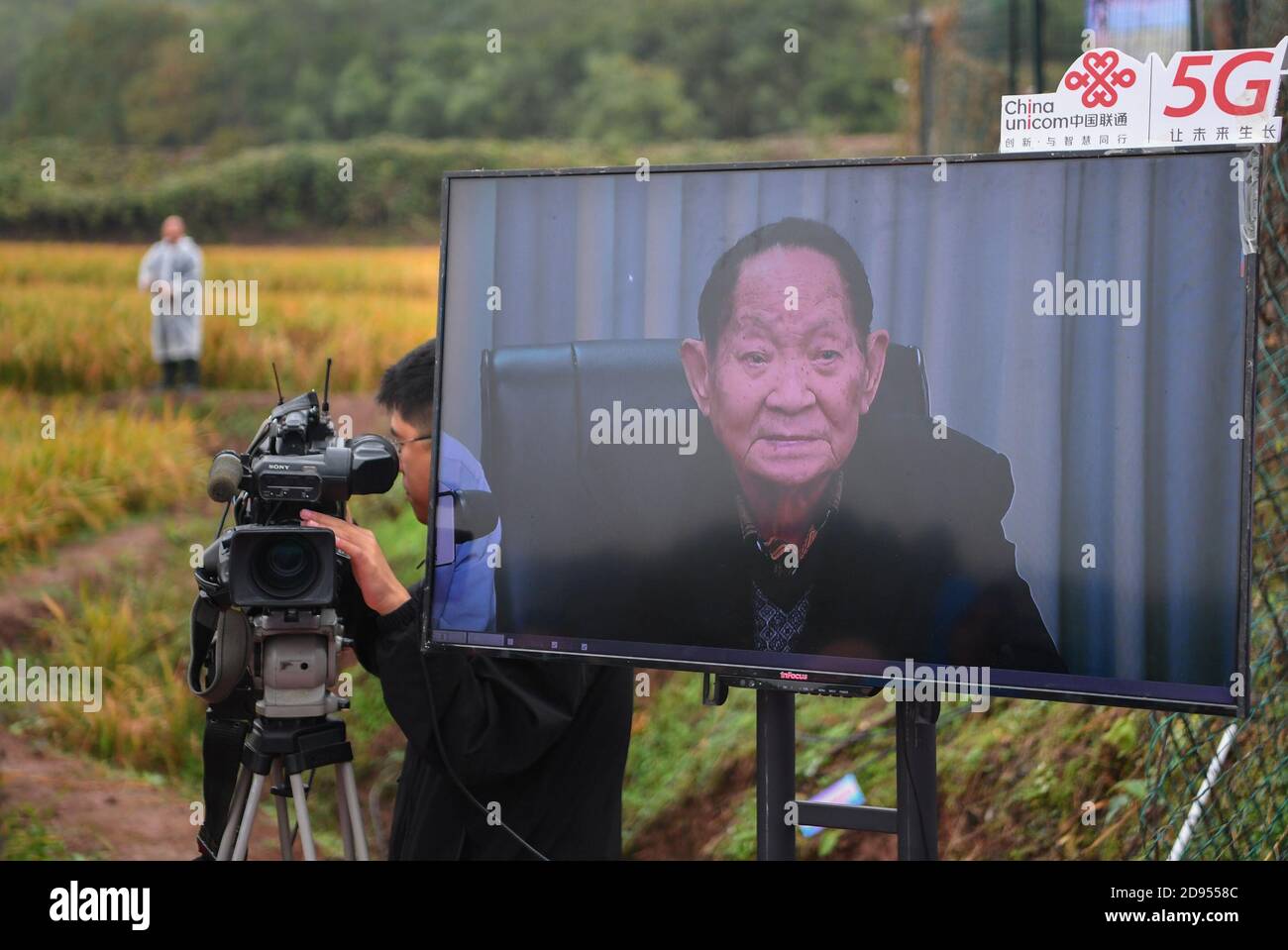 Beijing, China's Hunan Province. 2nd Nov, 2020. Yuan Longping, the ...