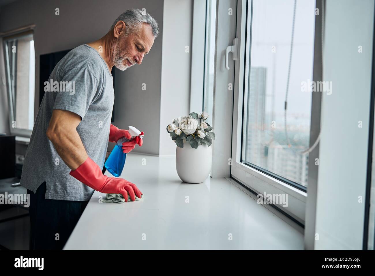 Aging gentleman spraying cleansing liquid on windowsill and wiping ...