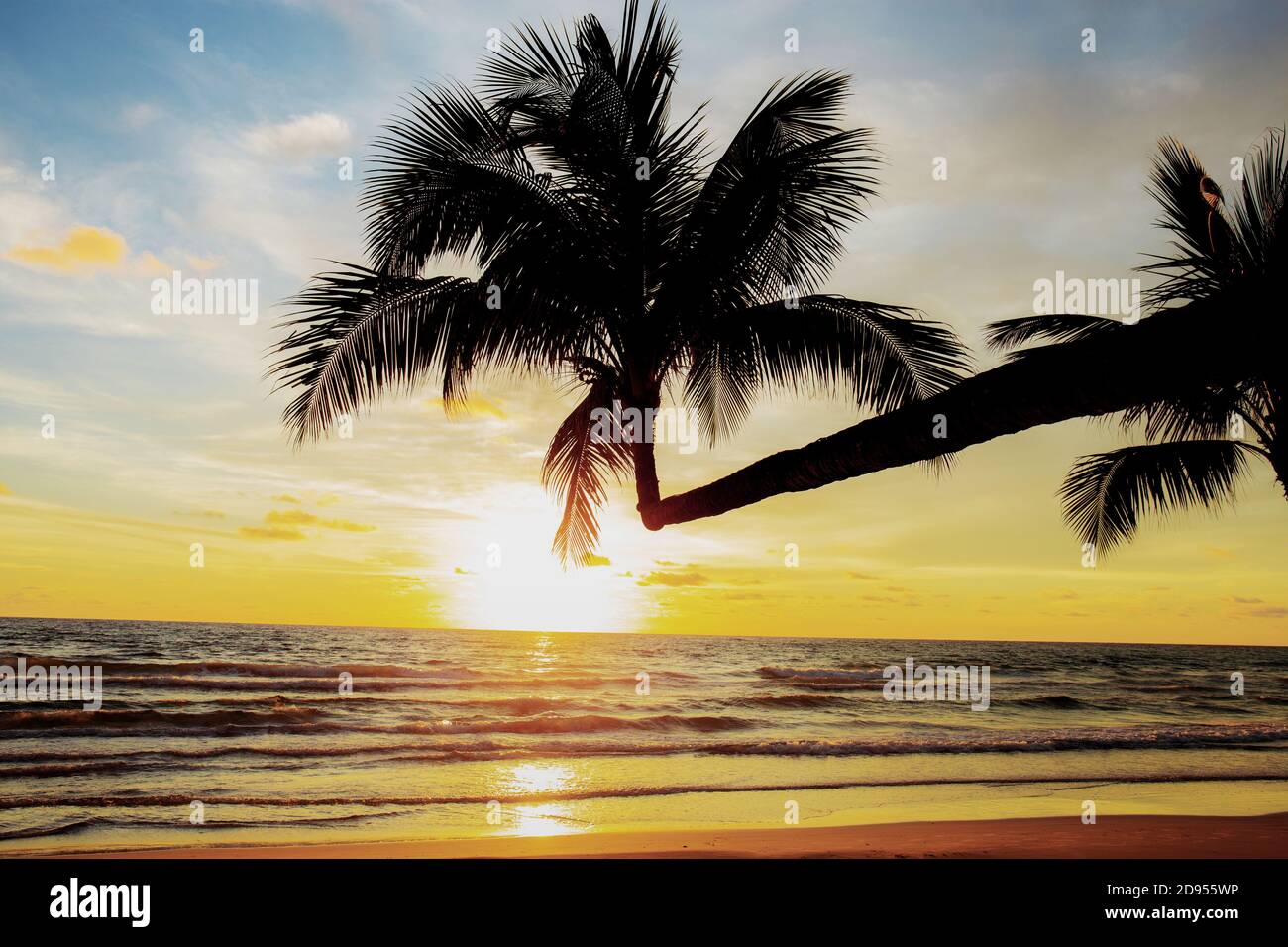 Coconut tree on beach with the sunset at sky Stock Photo - Alamy