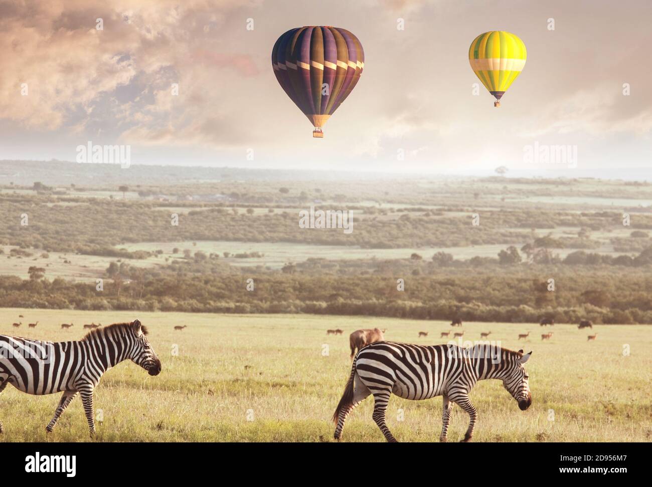 Tourist attraction on african safari in Namibia -balloons over savannah ...