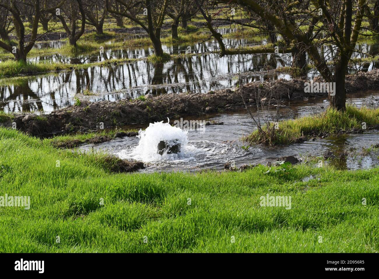 Groundwater eruption hi-res stock photography and images - Alamy