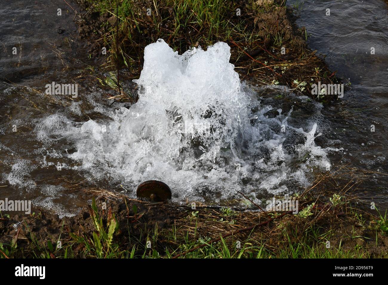 Water spring erupting out of the ground in a park Stock Photo - Alamy