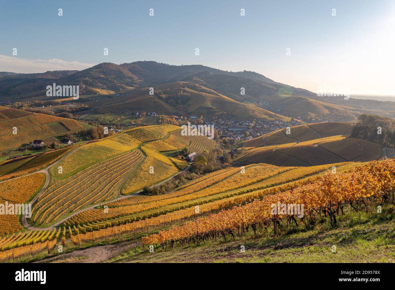 Durbach High Resolution Stock Photography and Images - Alamy