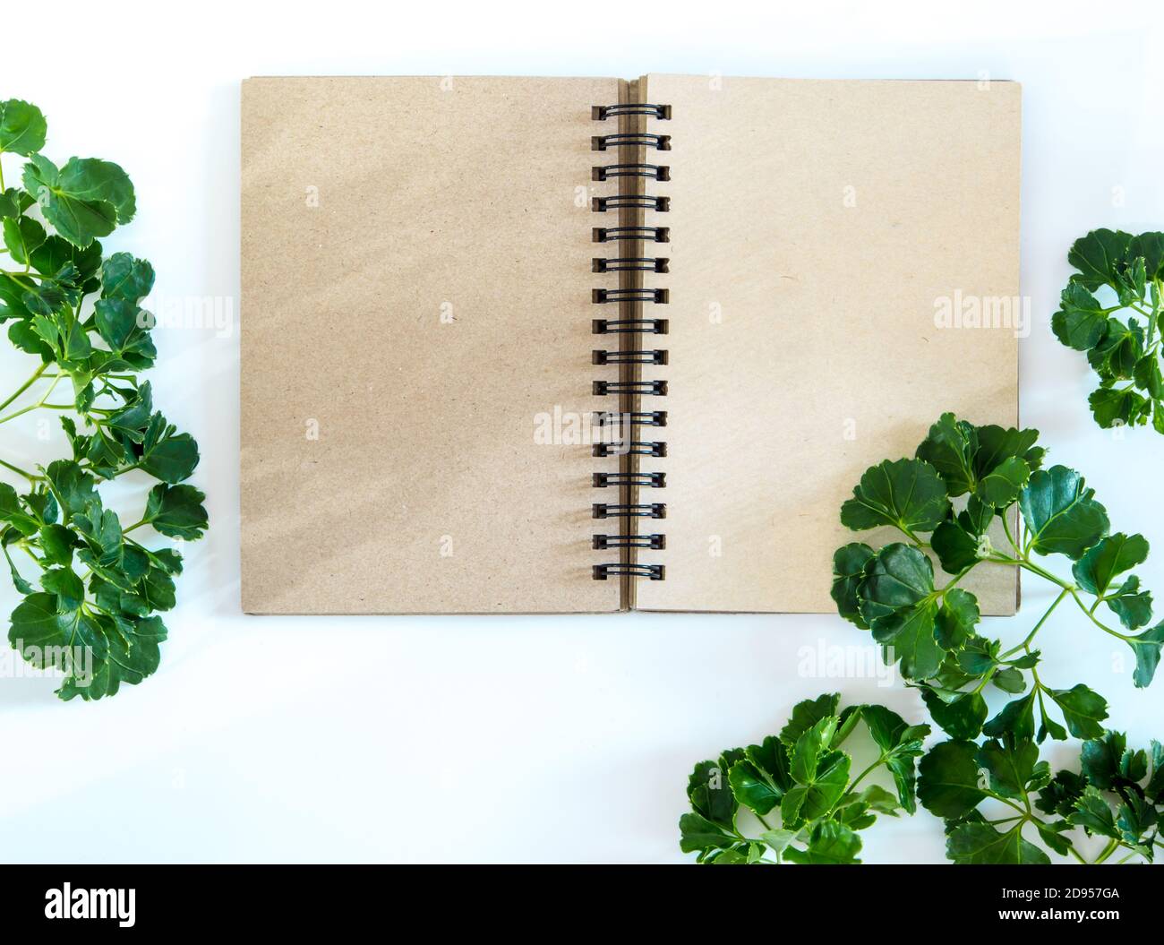 Green leaves around the nature color of blank brown page spiral ...