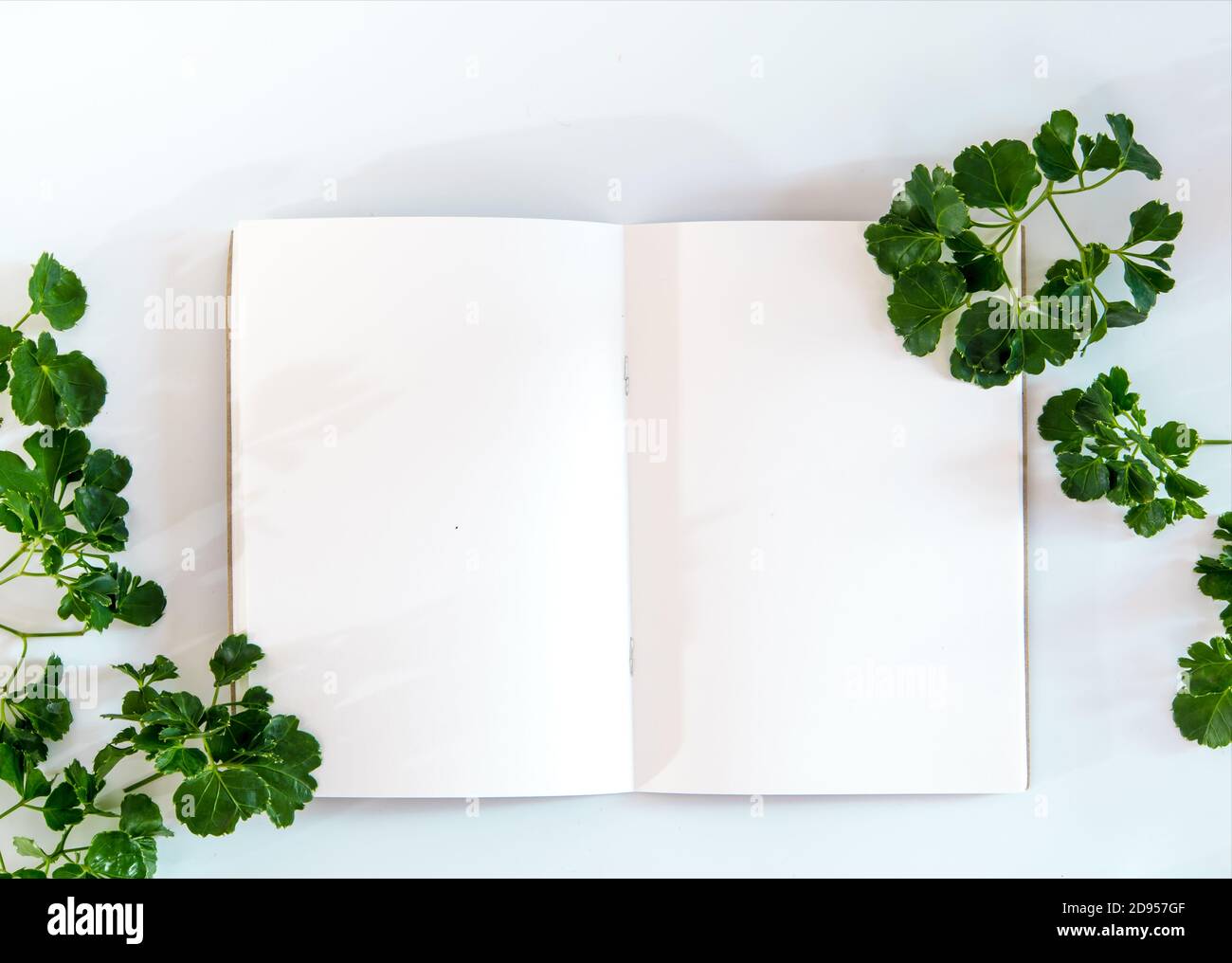 Green leaves around the nature color of blank page notebook Stock Photo ...