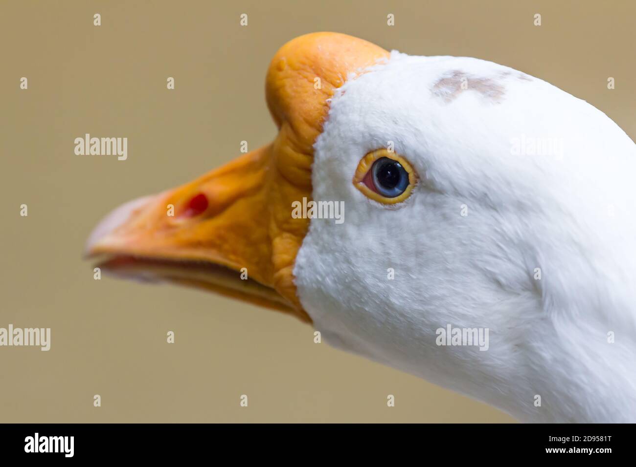 Closely curved hi-res stock photography and images - Alamy