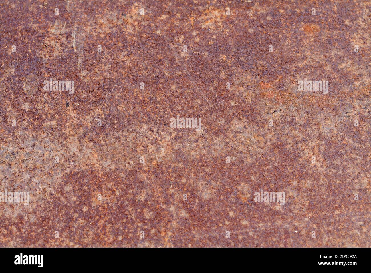 Rusted galvanized iron plate Stock Photo - Alamy