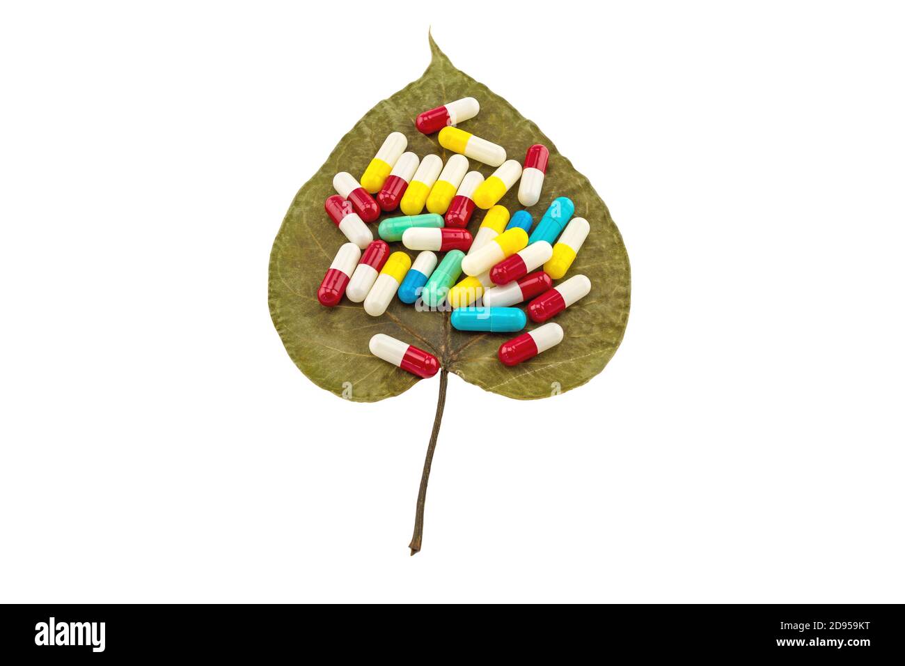 Colorful pill in dry Bo leaf on white background Stock Photo - Alamy