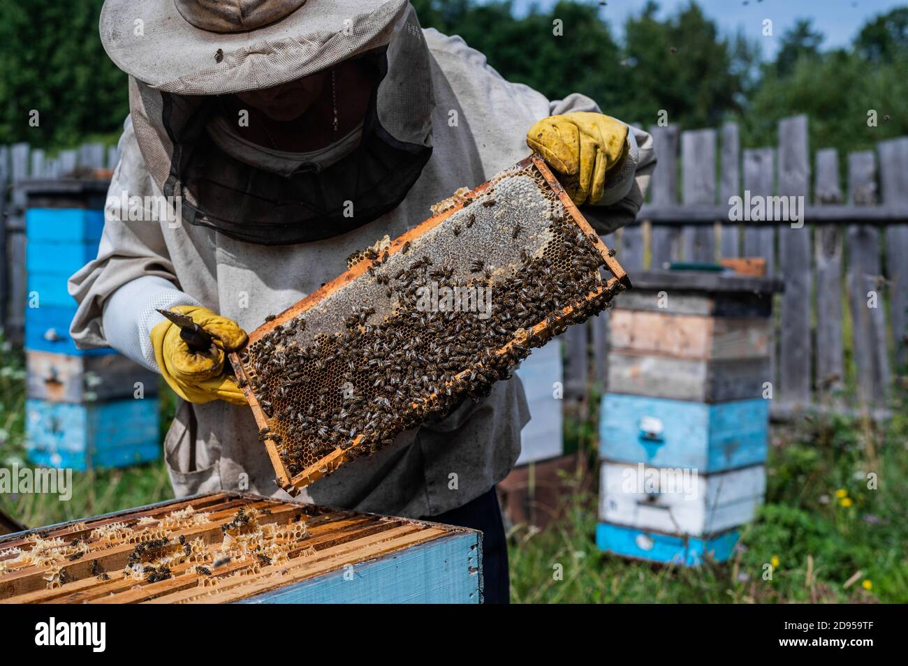 Beehive apiculture slovenia hi-res stock photography and images - Alamy