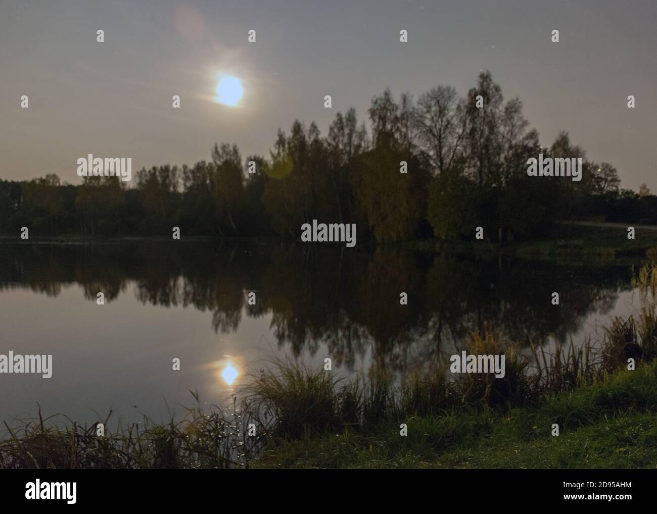 autumn night landscape with a lake in the moonlight, trees and the moon ...