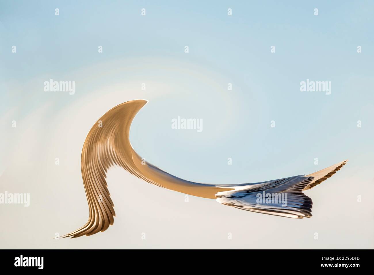 Light through feathers hi-res stock photography and images - Alamy