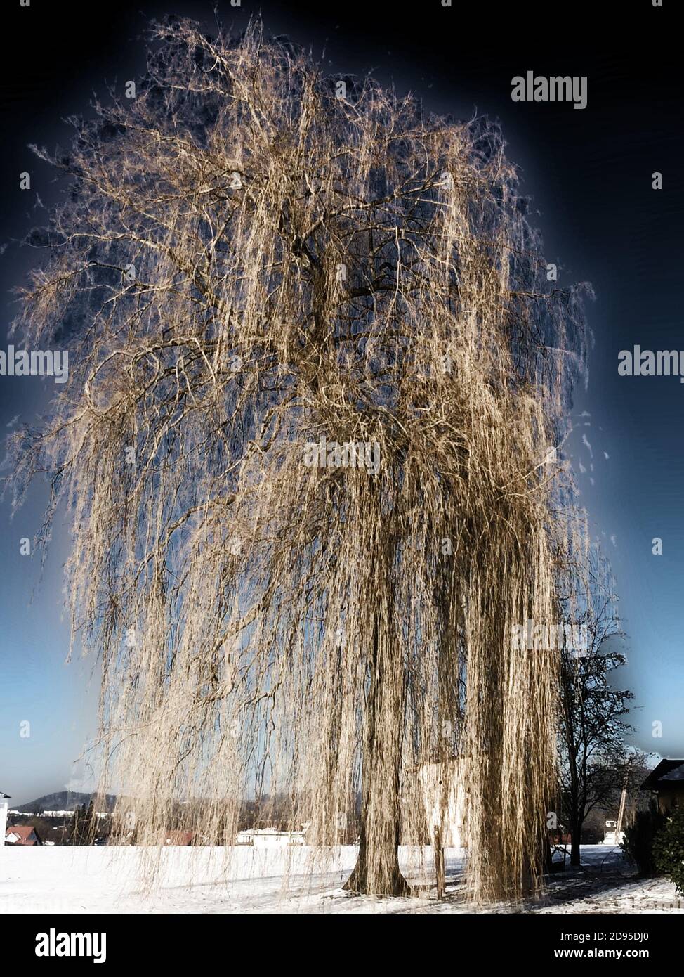 Willow rods hi-res stock photography and images - Alamy