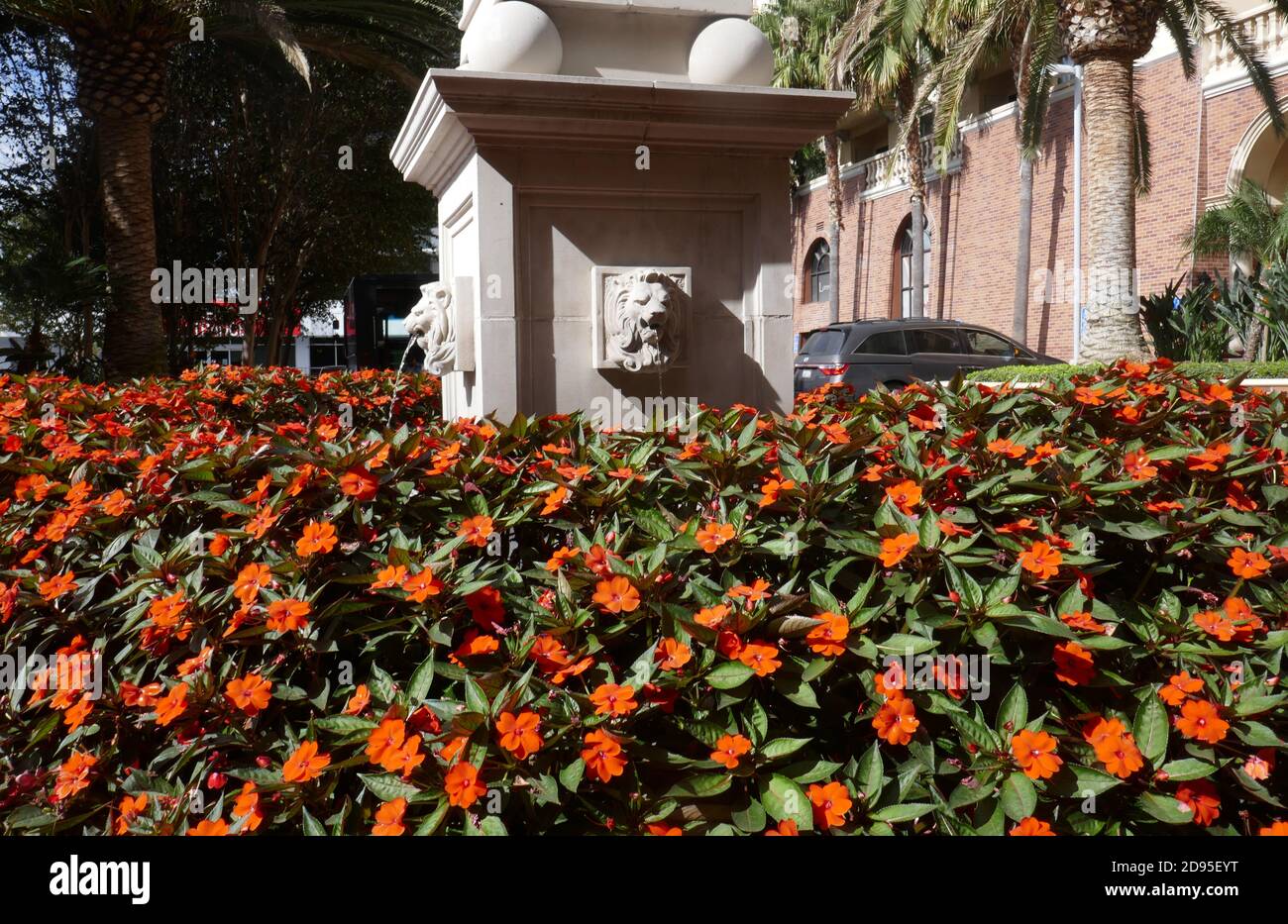 Los Angeles, California, USA 1st November 2020 A general view of ...