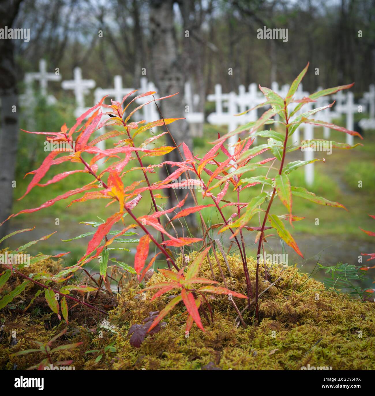 Christian cross on side hill hi-res stock photography and images - Alamy