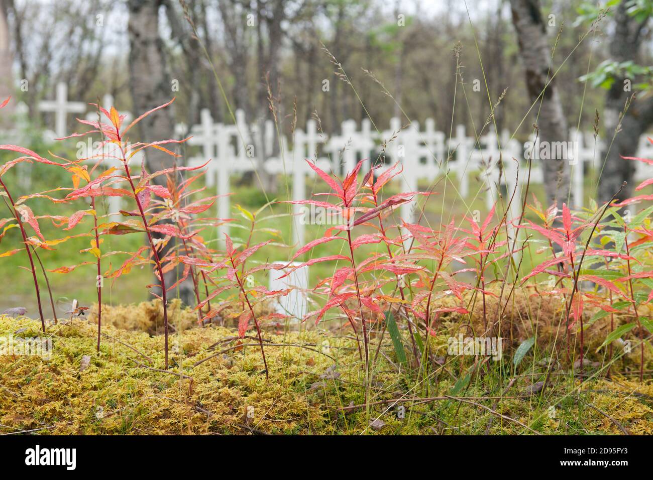 Christian cross on side hill hi-res stock photography and images - Alamy