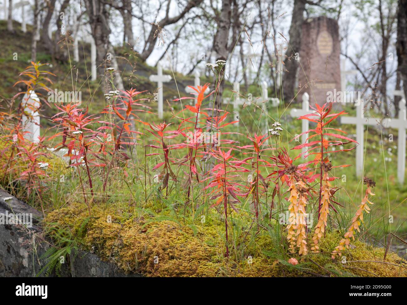 Christian cross on side hill hi-res stock photography and images - Alamy