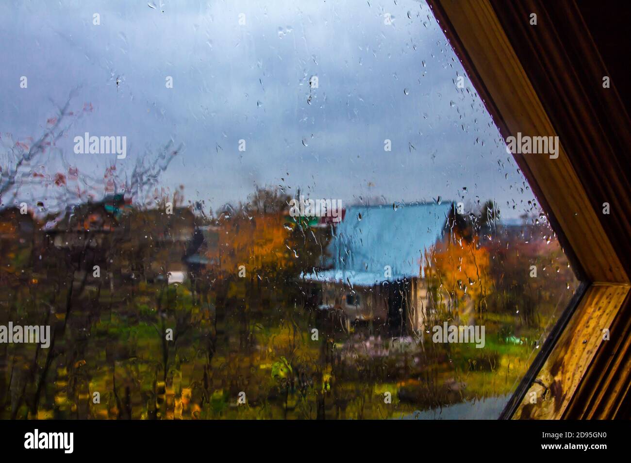 Autumn in the garden.View through window glass covered with raindrops ...